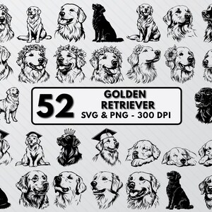 Golden Retriever SVG Clipart: Dog Breed Vector Art (PNG, 300 DPI) - Etsy