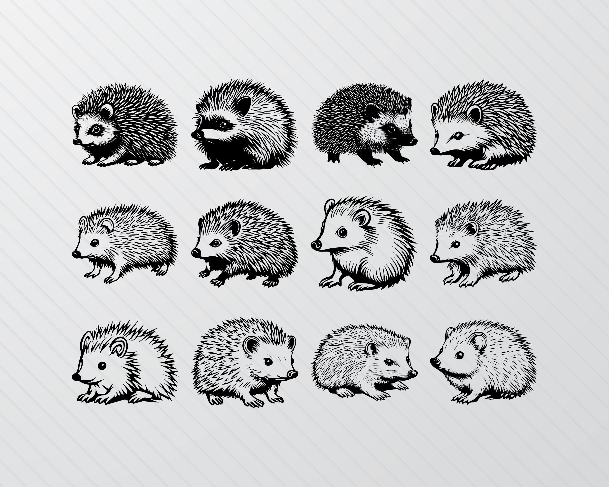 Hedgehog Silhouette, Hedgehog Svg Bundle, Hedgehog Clipart, Hedgehog ...