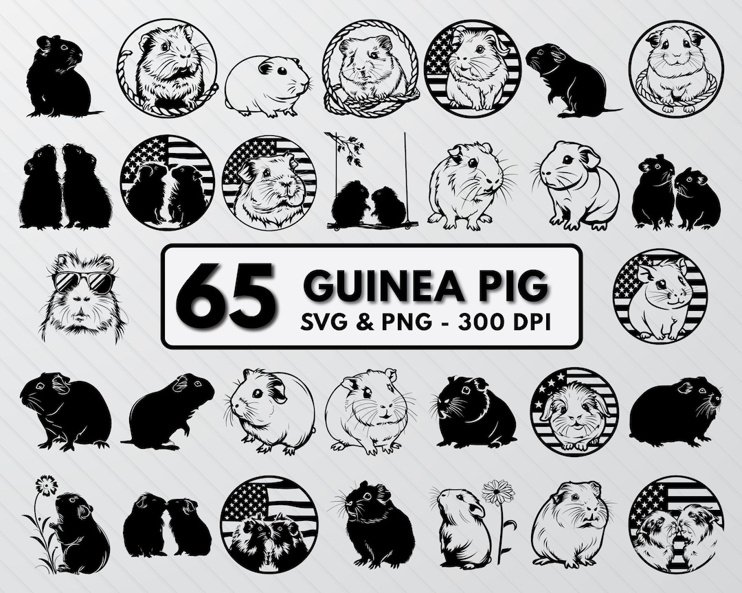 Guinea Pig Silhouette Svg, Guinea Pig Svg Cut File, Guinea Pig Clipart ...
