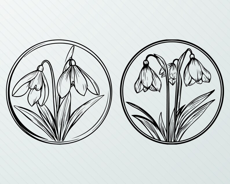 Snowdrop Flower SVG PNG: Floral Silhouette Cut File - Etsy