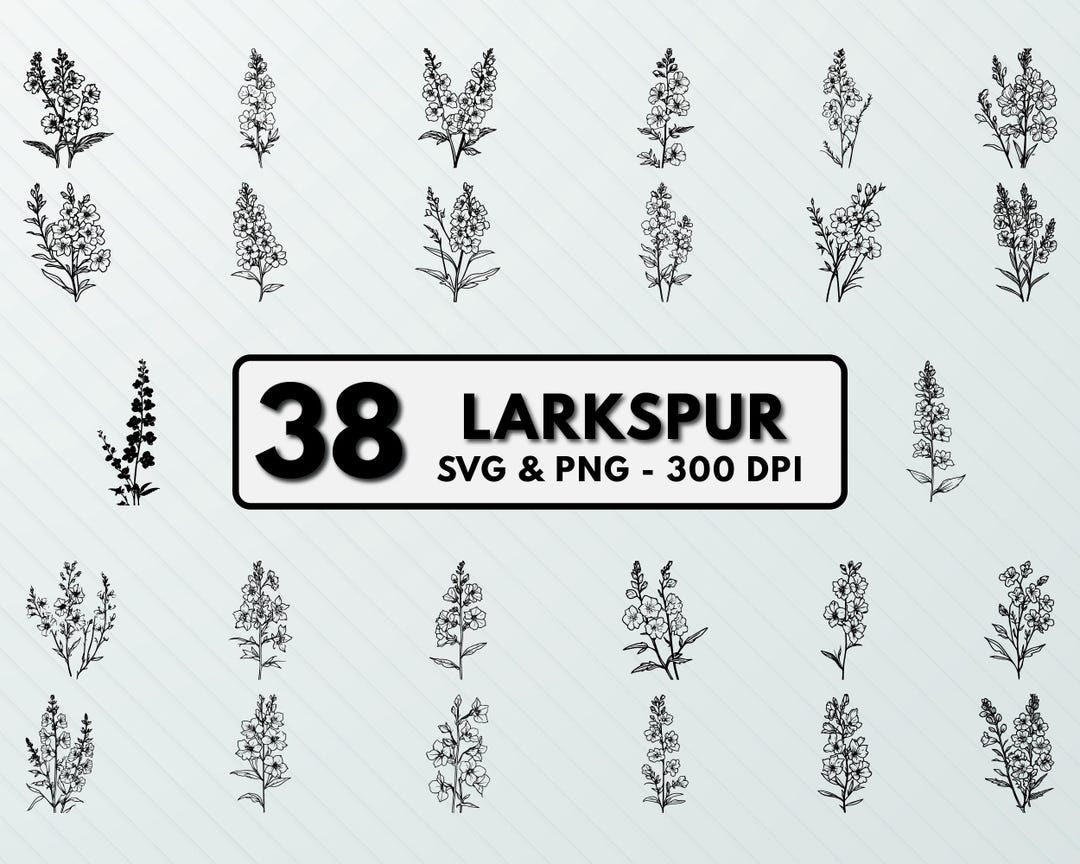 Larkspur Clipart, Floral Outline, SVG PNG Cut Files - Etsy