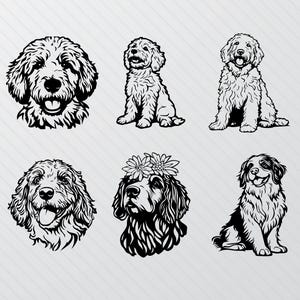 Bernedoodle Silhouette: Dog Breed Vector Art Bundle (SVG, PNG) - Etsy