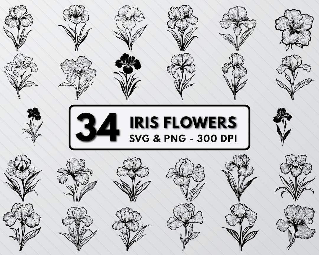Iris Flower SVG Bundle: Floral Silhouette Vectors (digital Download) - Etsy