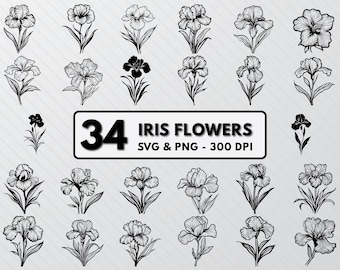 Iris SVG, Iris PNG, Iris Flower Clipart, Iris Flower Design, Iris ...