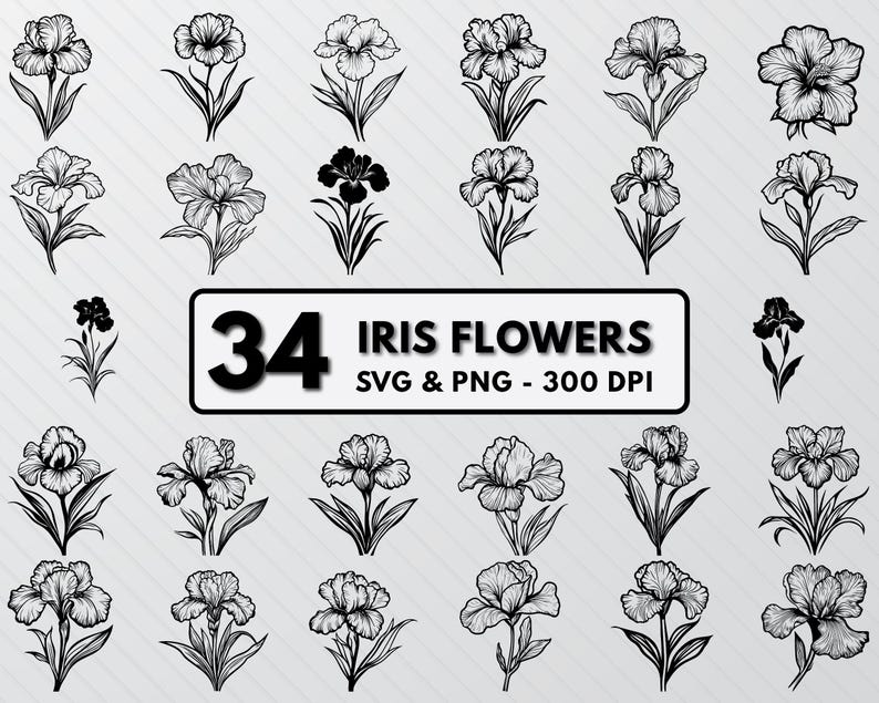 Iris Flower SVG Bundle: Floral Silhouette Vectors (digital Download) - Etsy