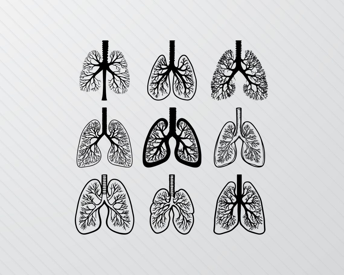 Human Lungs Silhouette, Human Lungs Svg Bundle Cut File, Lungs Png ...