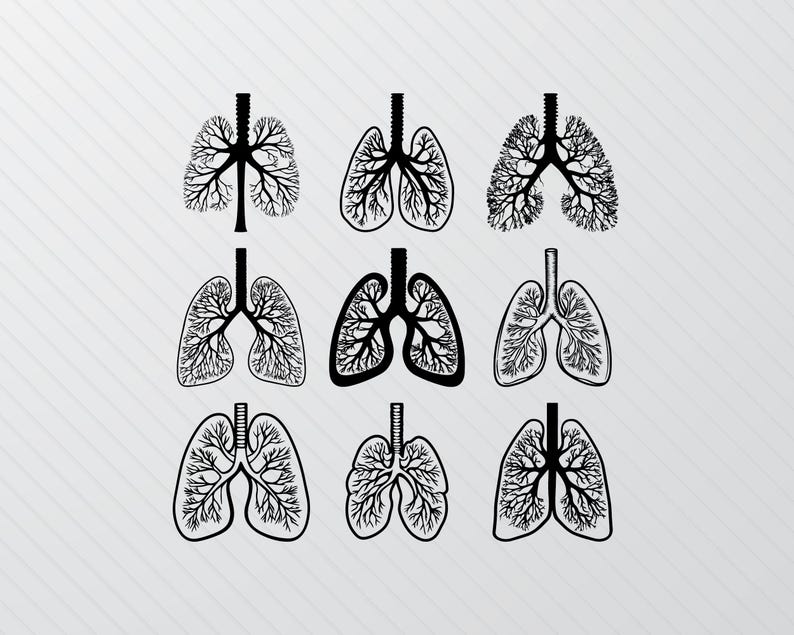 Human Lungs Silhouette, Human Lungs Svg Bundle Cut File, Lungs Png ...