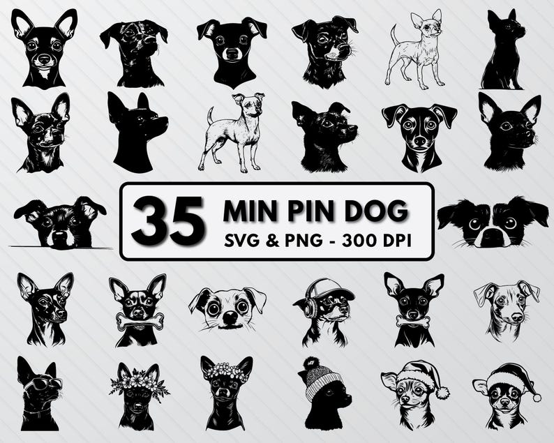 Min Pin Dog SVG Bundle: Floral Puppy Clipart, Dog Breeds Icon (PNG ...