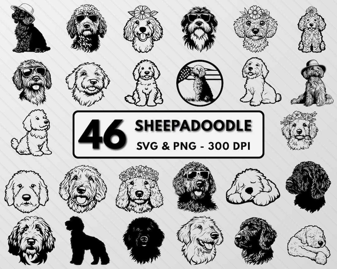 Sheepadoodle Svg Bundle, Sheepadoodle Silhouette, Sheepadoodle Puppy ...