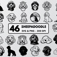 Sheepadoodle - Etsy
