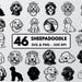 Sheepadoodle SVG Bundle: Puppy Silhouette, Dog Breed Vector (PNG ...