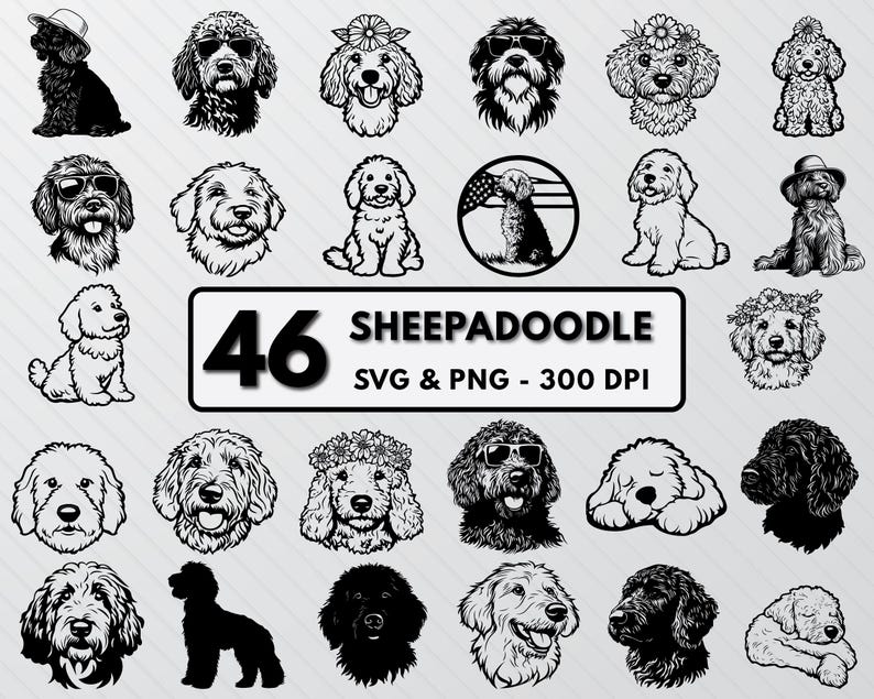 Sheepadoodle Svg Bundle, Sheepadoodle Silhouette, Sheepadoodle Puppy ...