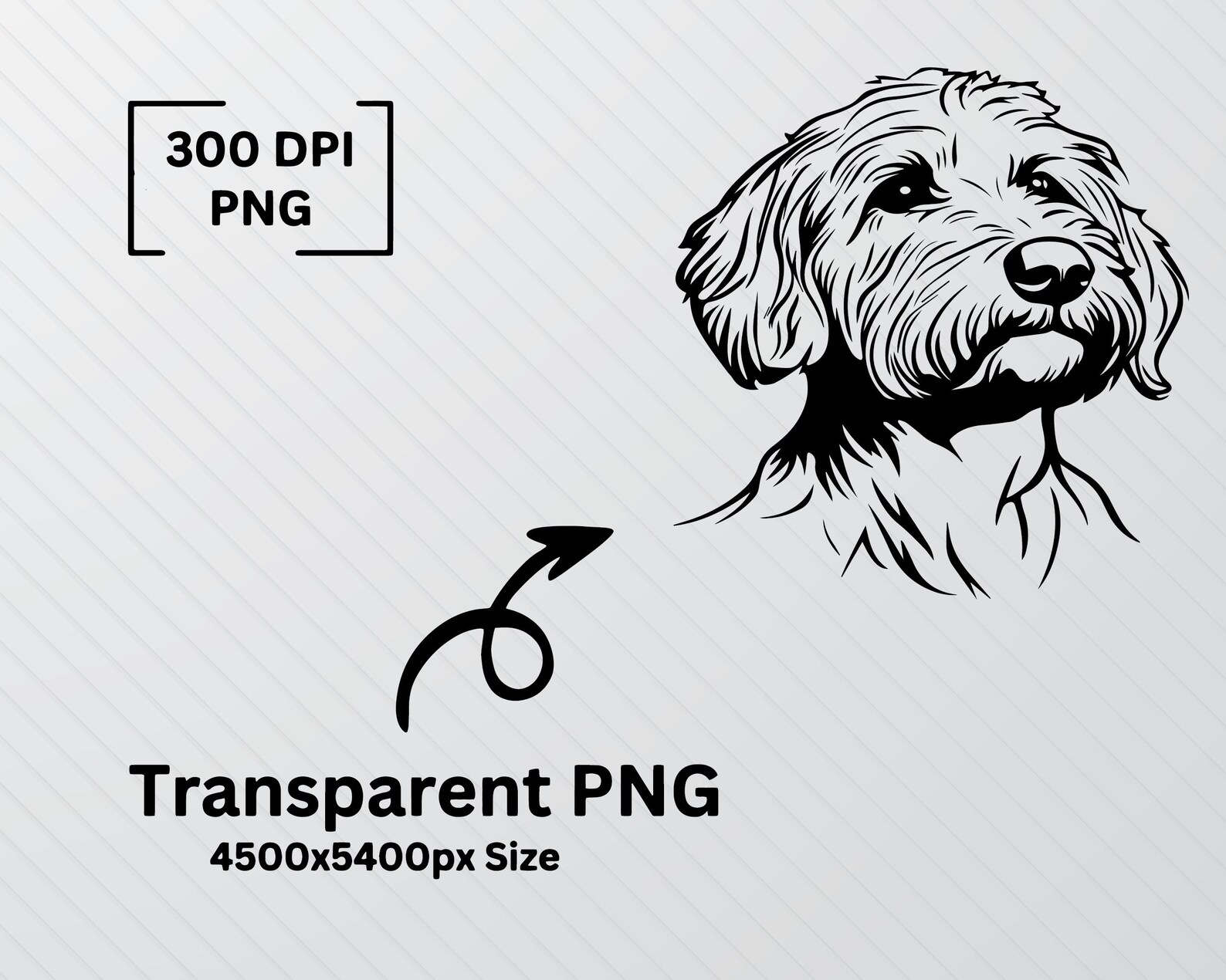 Schnoodle Dog Svg, Schnoodle Silhouette Svg, Dogs Clipart, Schnoodle ...