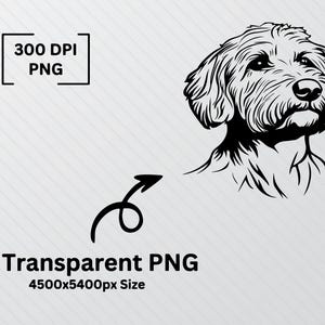 Schnoodle Dog Svg, Schnoodle Silhouette Svg, Dogs Clipart, Schnoodle ...
