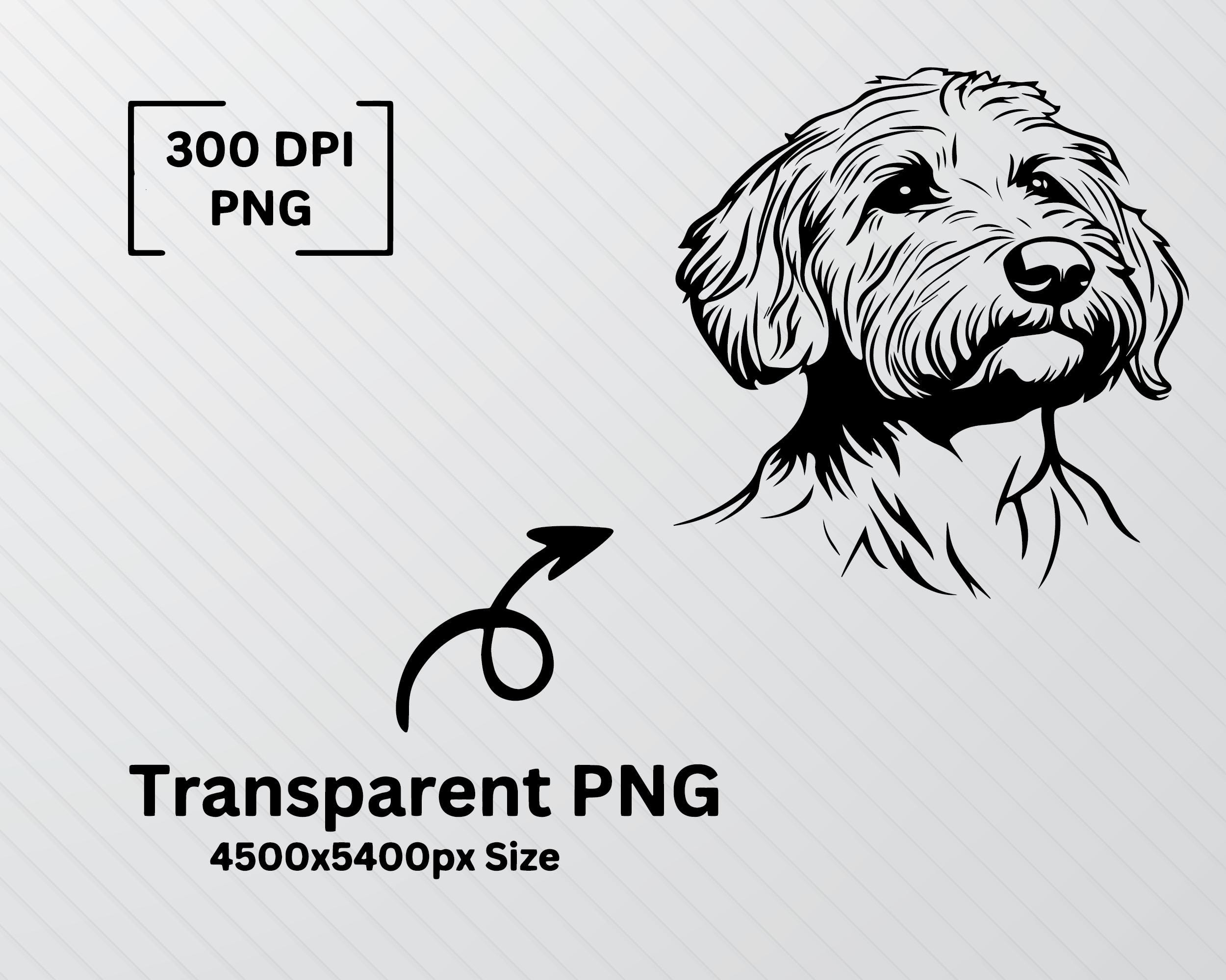 Schnoodle Dog Svg, Schnoodle Silhouette Svg, Dogs Clipart, Schnoodle ...