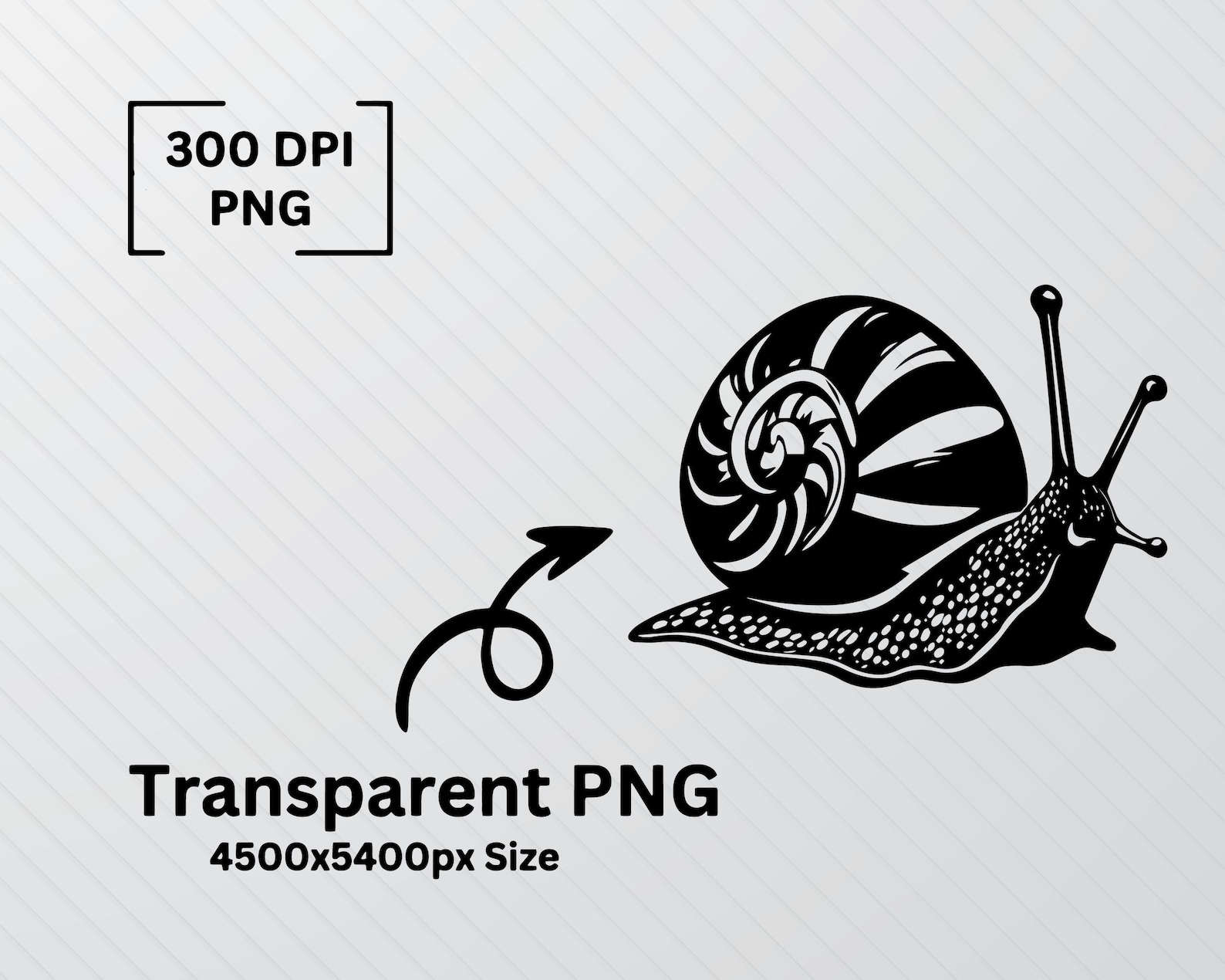 Snail Silhouette Svg, Snail Svg Bundle Cut Files, Snail Clipart Png ...