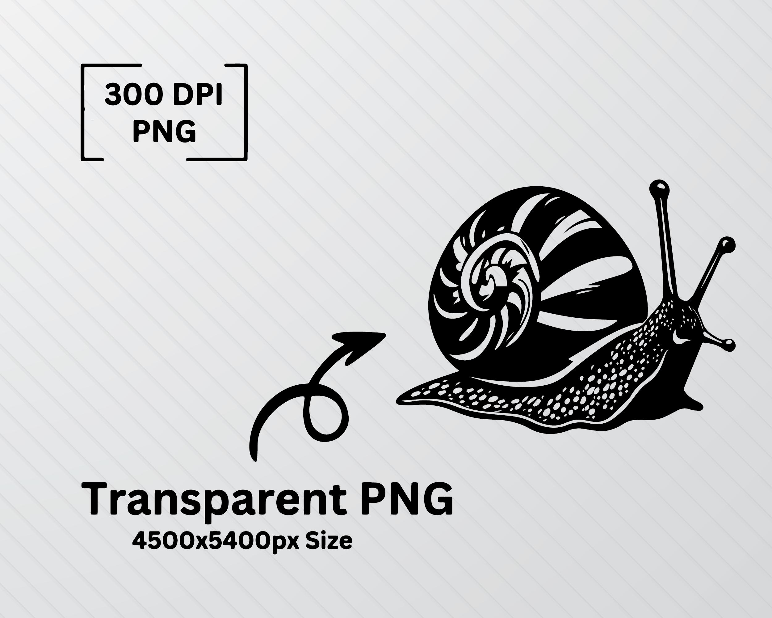 Snail Silhouette Svg, Snail Svg Bundle Cut Files, Snail Clipart Png ...