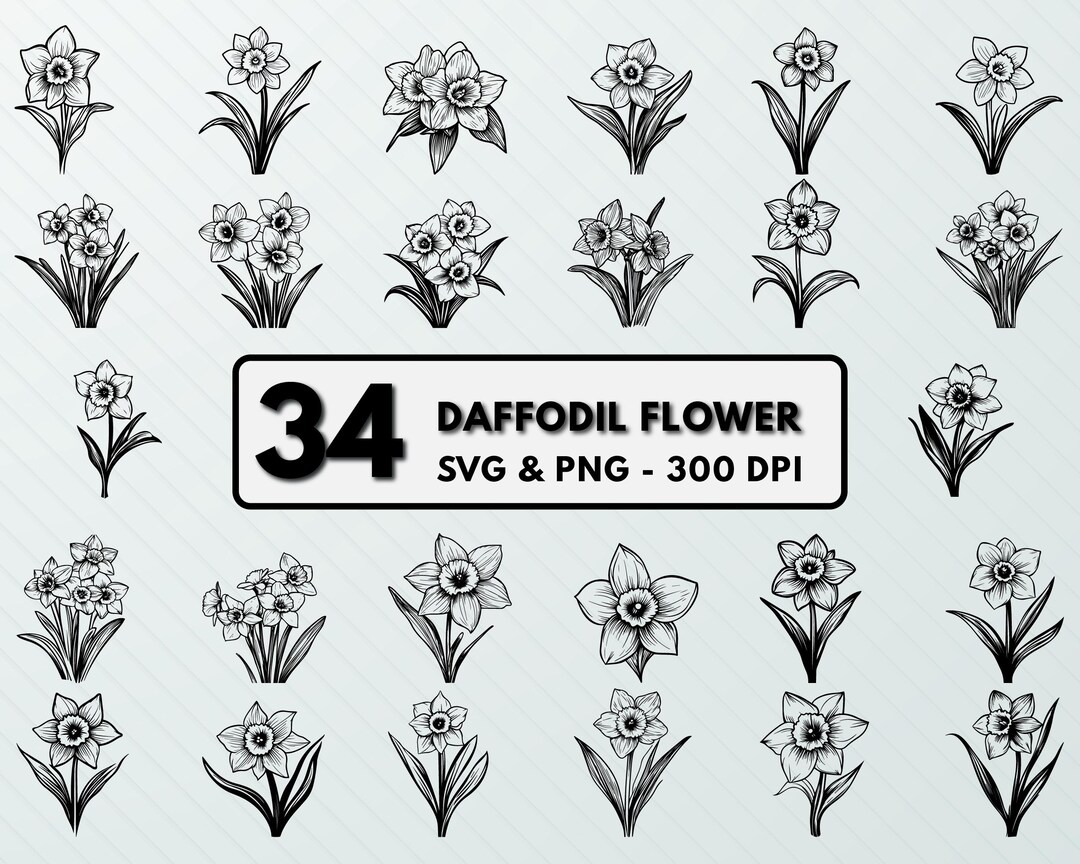 Daffodil Flower SVG: March Birth Flower Clipart (PNG, Vector) - Etsy