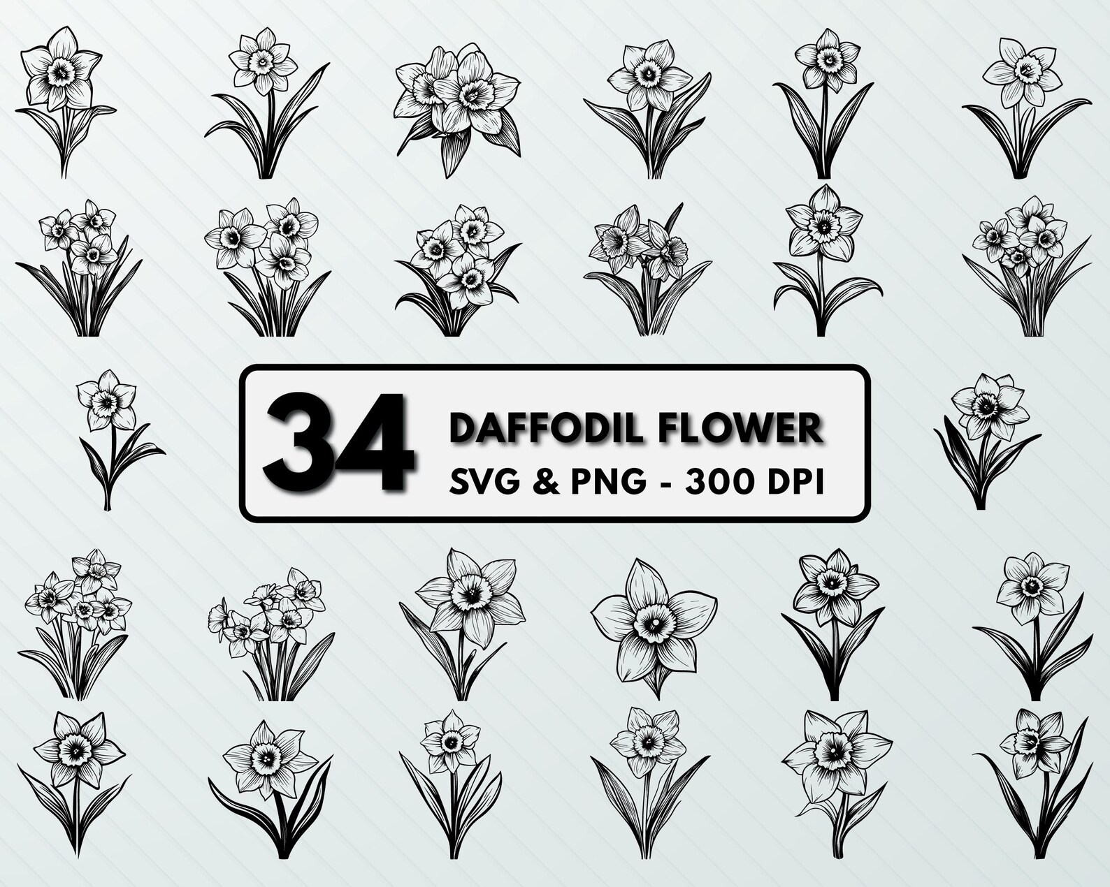 Daffodil Flower Svg, Daffodil Flower Png, Birth Month Flower, Narcissus ...