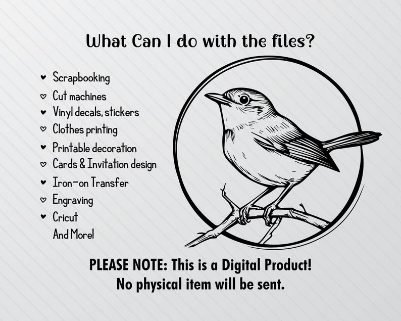 Wren Svg Bundle, Wren Bird Silhouette, Little Bird Line Art Svg Design ...