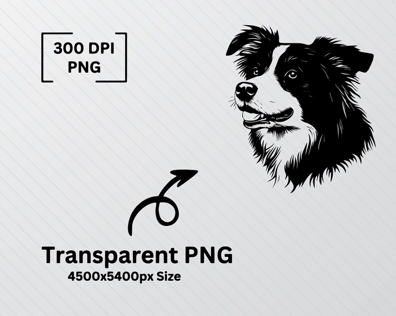 Australian Shepherd Dog SVG Bundle: Aussie Clipart, Vector Art (PNG) - Etsy