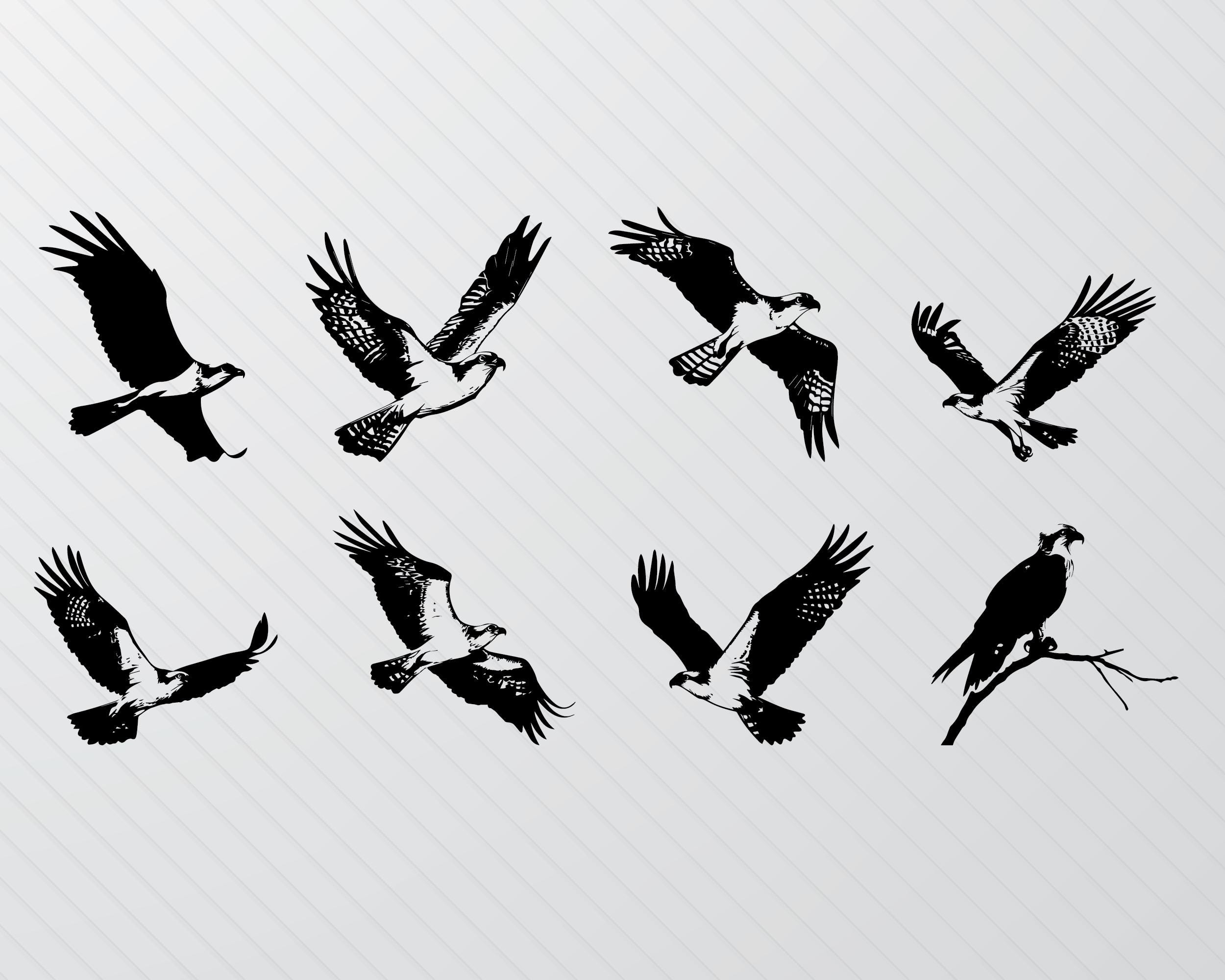 Osprey Silhouette Vector Bundle: Bird of Prey SVG, PNG Files - Etsy
