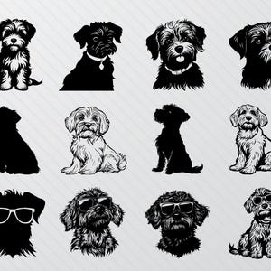 Schnoodle Dog Svg, Schnoodle Silhouette Svg, Dogs Clipart, Schnoodle ...