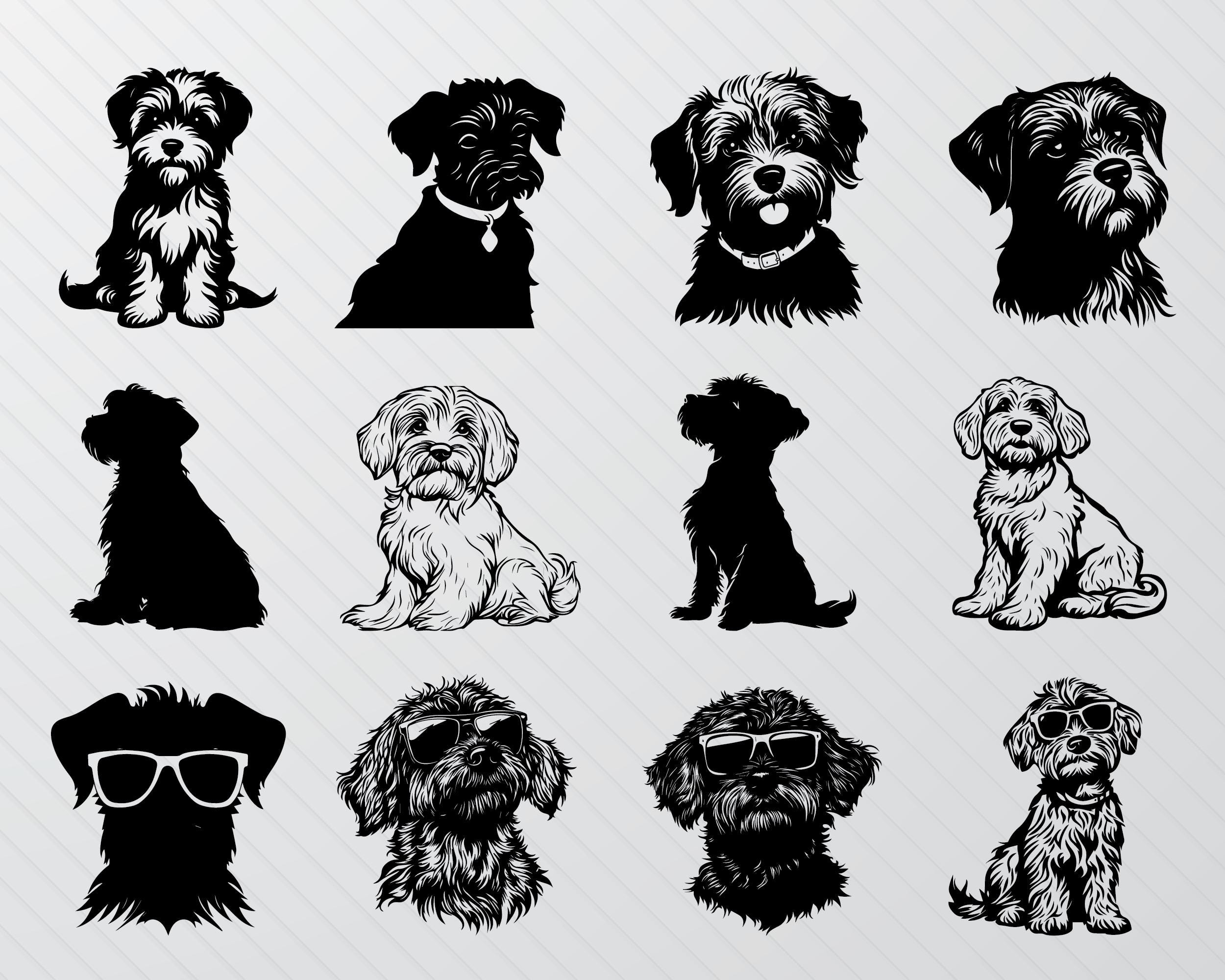 Schnoodle Dog Svg, Schnoodle Silhouette Svg, Dogs Clipart, Schnoodle ...