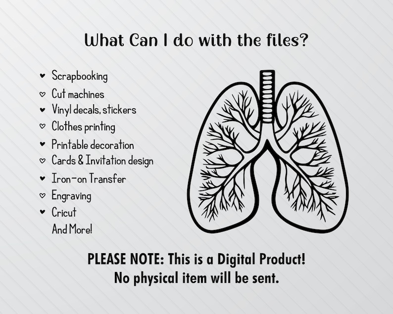 Human Lungs Silhouette, Human Lungs Svg Bundle Cut File, Lungs Png ...
