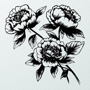 Peony Flowers Svg, Peony Png, Floral Clipart, Peony Birth Month ...