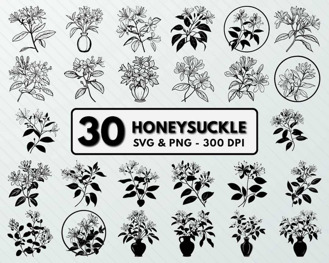 Honeysuckle Svg Png Bundle, Honeysuckle Silhouette, Honeysuckle Clipart ...