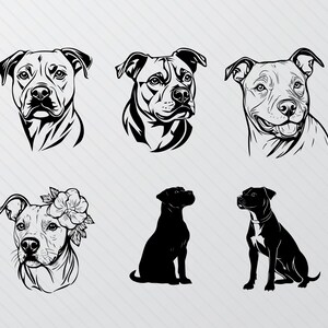 Staffy Dog SVG Bundle: Silhouette Clipart, Decal Cut Files (PNG) - Etsy