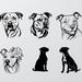 Staffy Dog SVG Bundle: Silhouette Clipart, Decal Cut Files (PNG) - Etsy