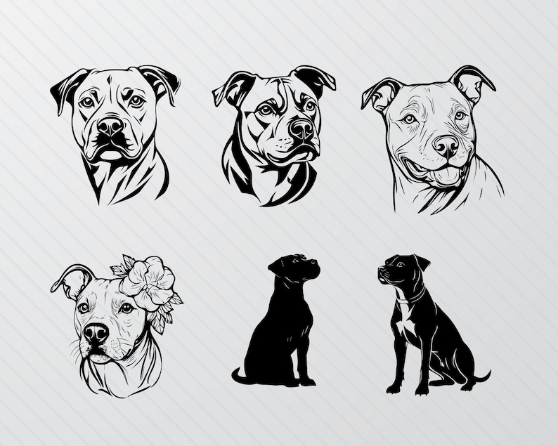 Staffy Silhouette Svg, Staffy Dog Svg Bundle, Dogs Clipart, Staffy Png ...