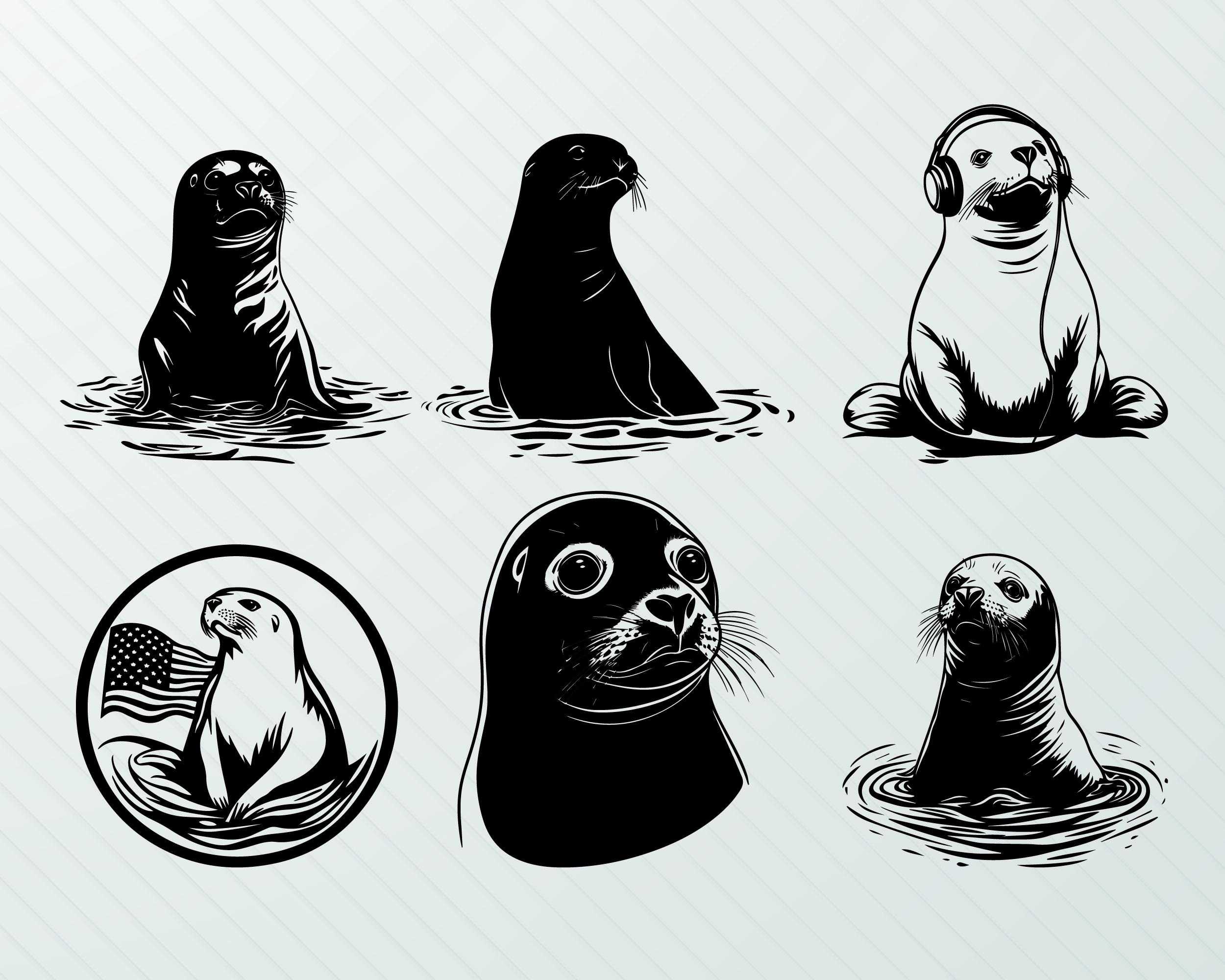 Seal PNG, Seal Clipart, Seal SVG, Seal Decor, Seal Cutting, Seal ...