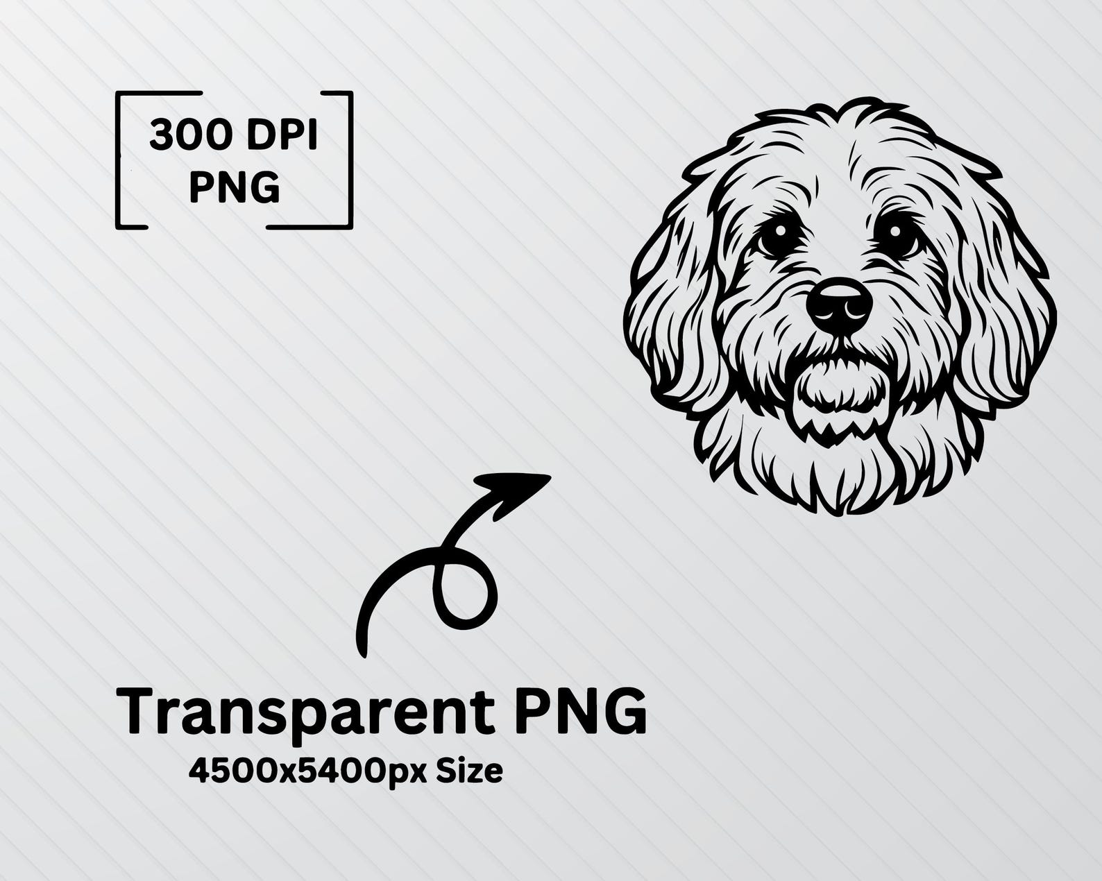 Cavapoo Dog Silhouette: SVG, PNG Clipart Bundle - Etsy