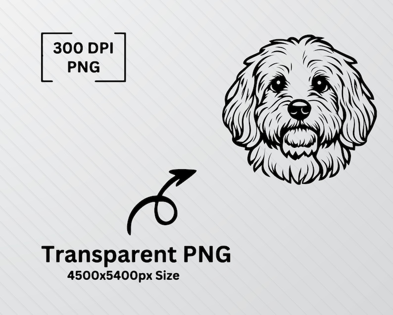 Cavapoo Dog Silhouette: SVG, PNG Clipart Bundle - Etsy