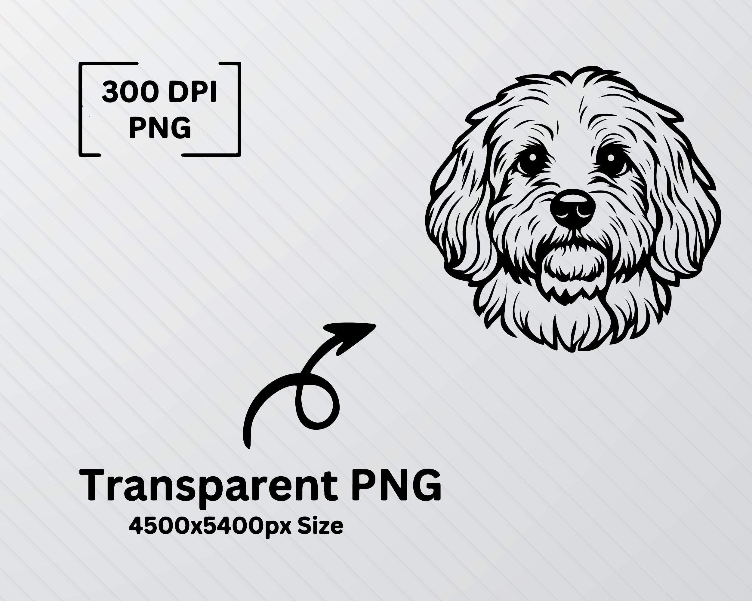 Cavapoo Dog Silhouette, Cavapoo Dogs Svg Bundle, Cadoodle Puppies Png ...