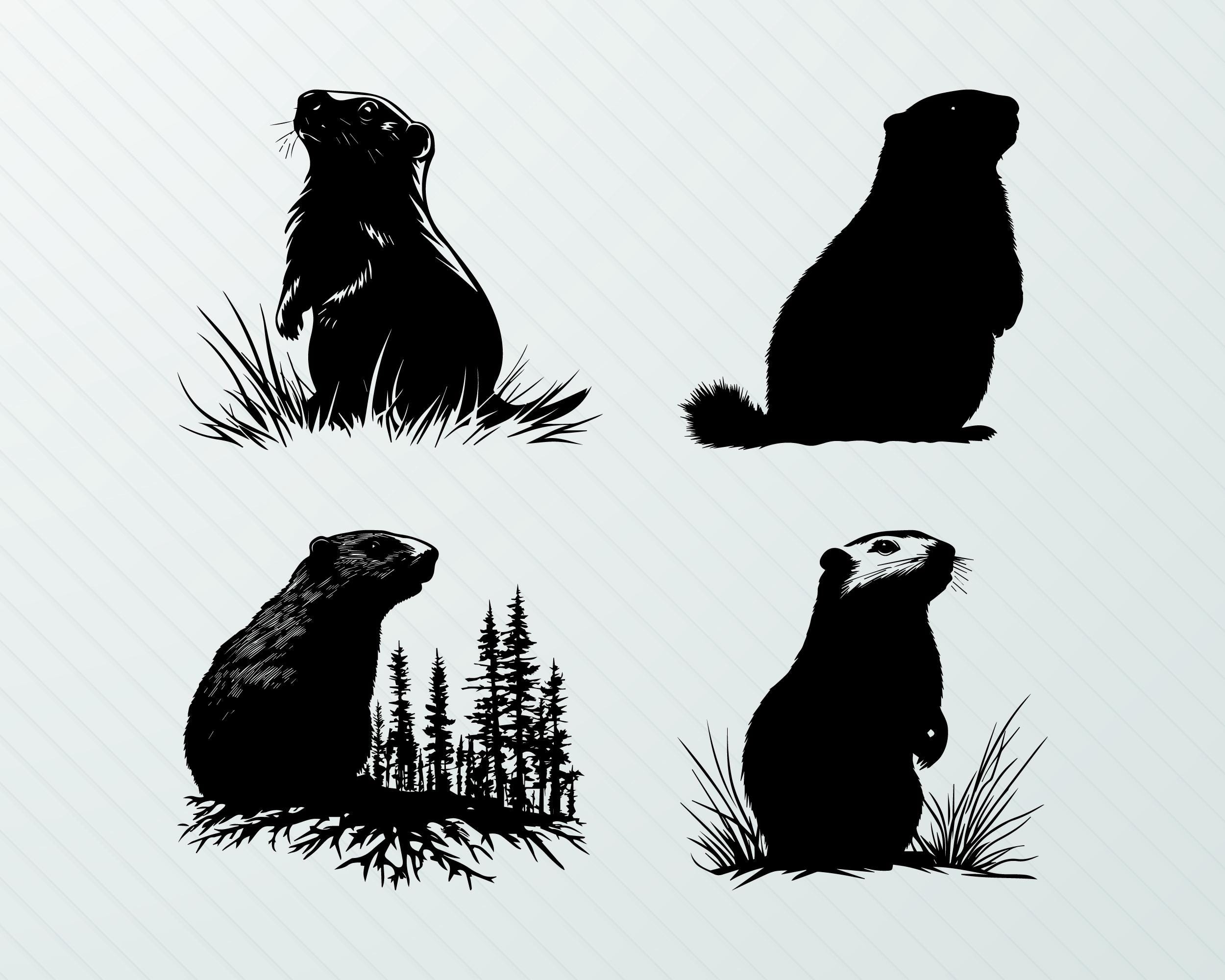 Groundhog SVG PNG Clipart: Vector Cut File Designs - Etsy