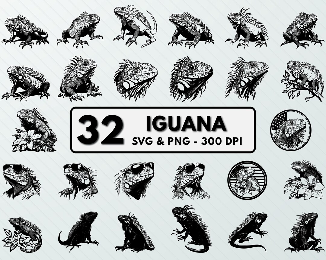 Iguana PNG, Iguana Art, Iguana SVG, Iguana Decal, Iguana Silhouette ...