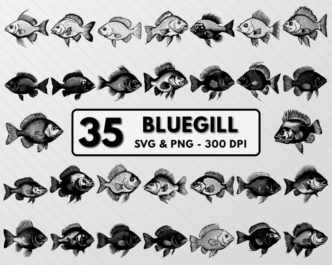 Bluegill Svg Bundle, Bluegill Fish Silhouette, Bluegill Sunfish Decal ...