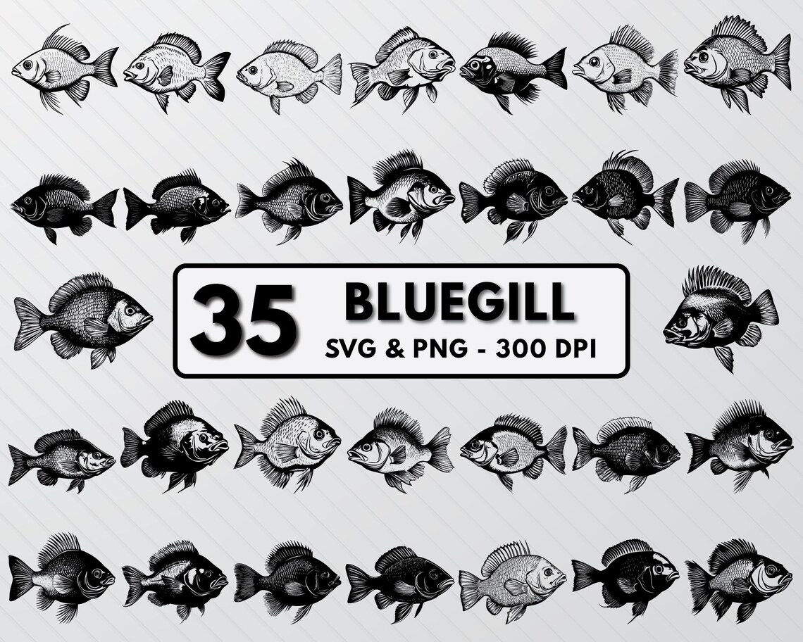 Bluegill Svg Bundle, Bluegill Fish Silhouette, Bluegill Sunfish Decal ...