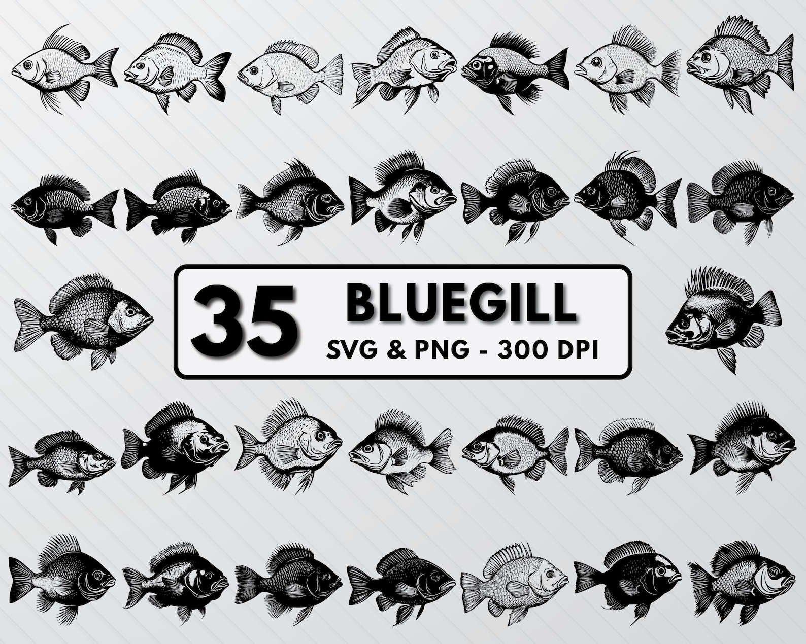 Bluegill Fish SVG Bundle: Sunfish Silhouette, Decal Vector (digital ...