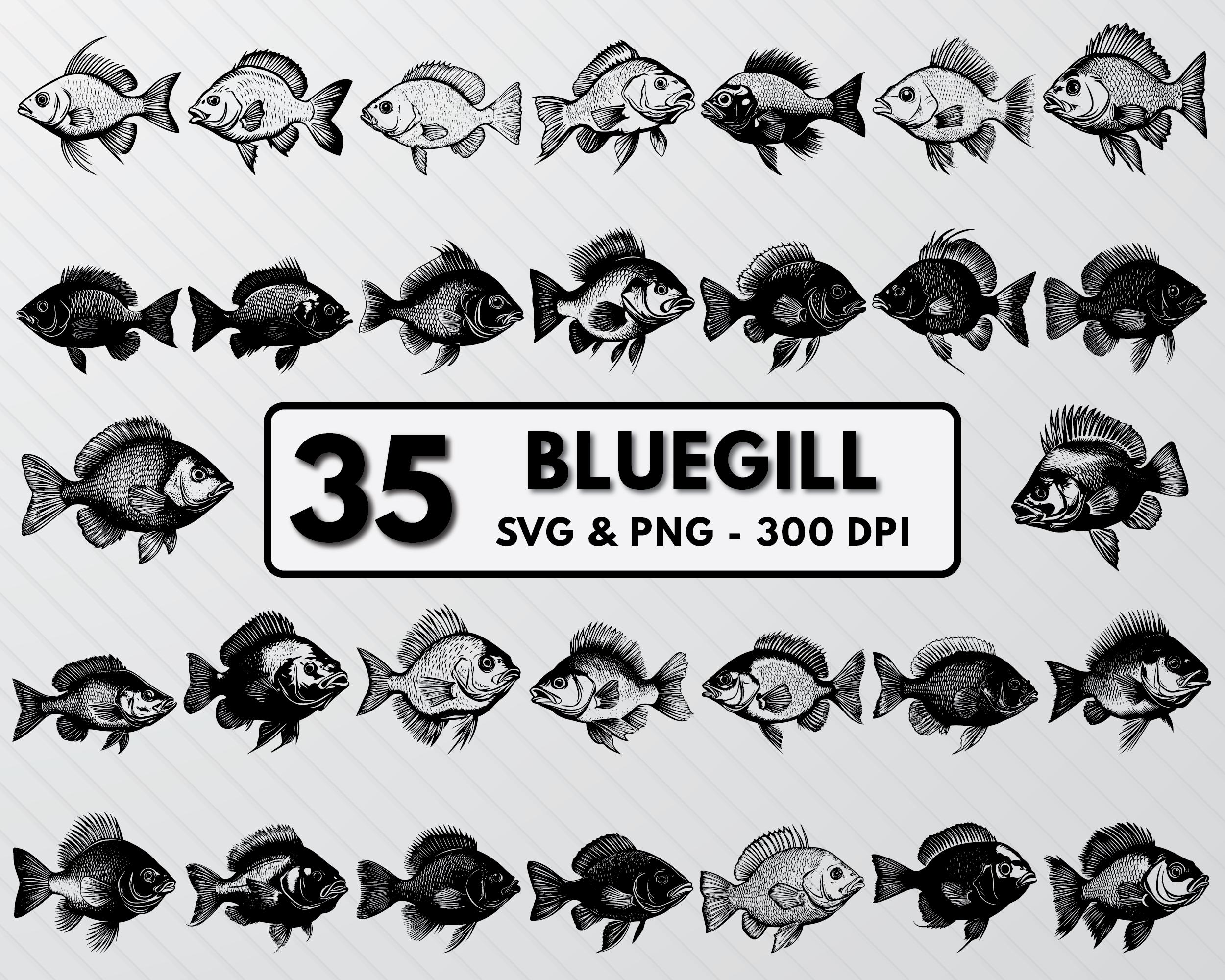 Bluegill Svg Bundle, Bluegill Fish Silhouette, Bluegill Sunfish Decal ...