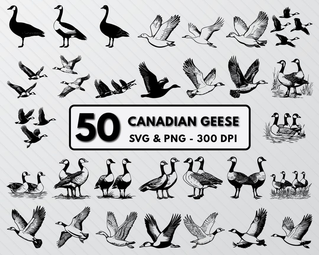 Canadian Geese Silhouette, Goose Svg Bundle, Funny Ducks Clipart, Geese ...
