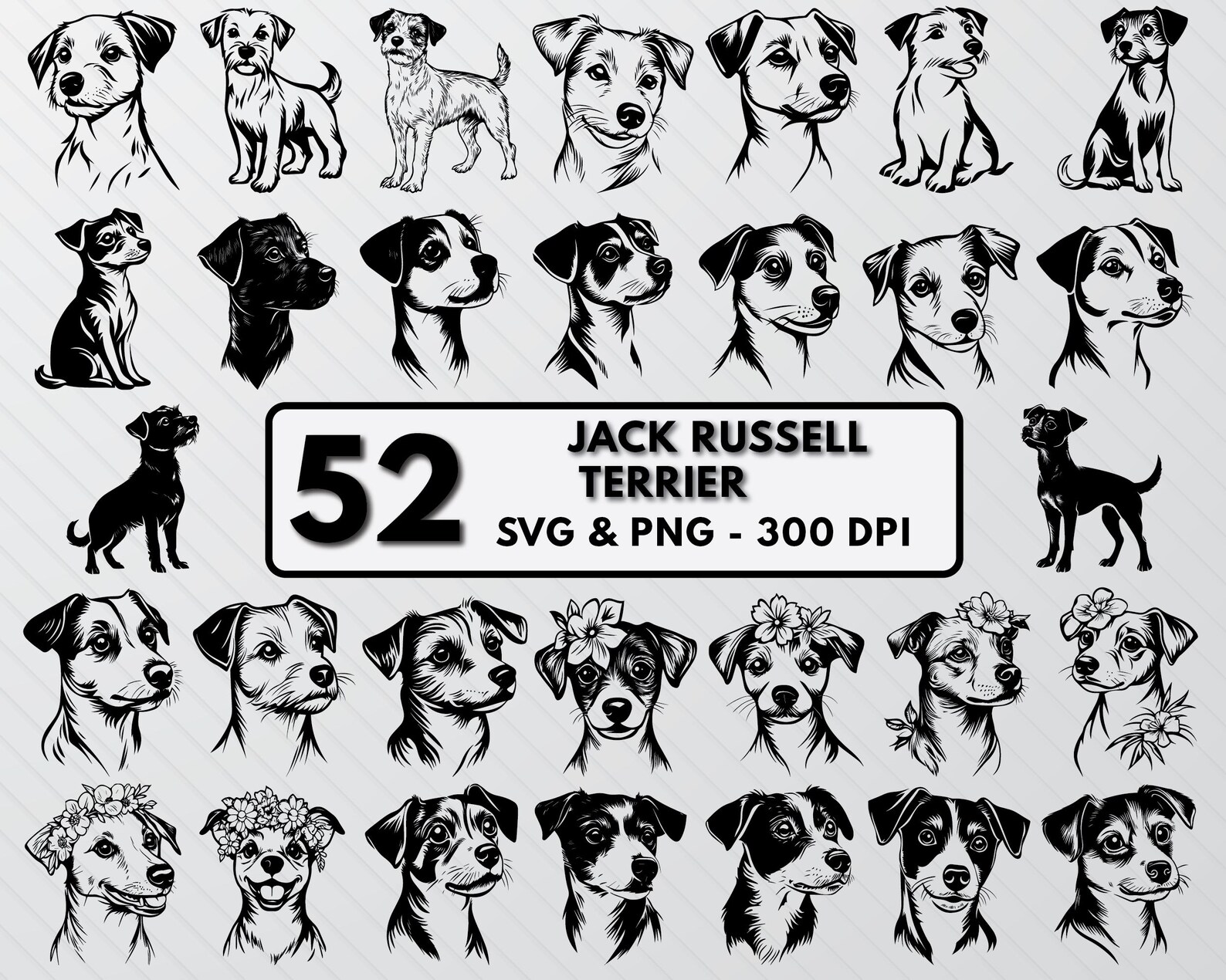 Jack Russell Terrier Svg Bundle, Jack Russell Terrier Silhouette Decal ...