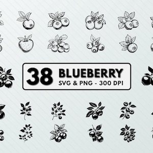 Blueberry Clipart: 58 SVG & PNG Files, Fruit Designs - Etsy