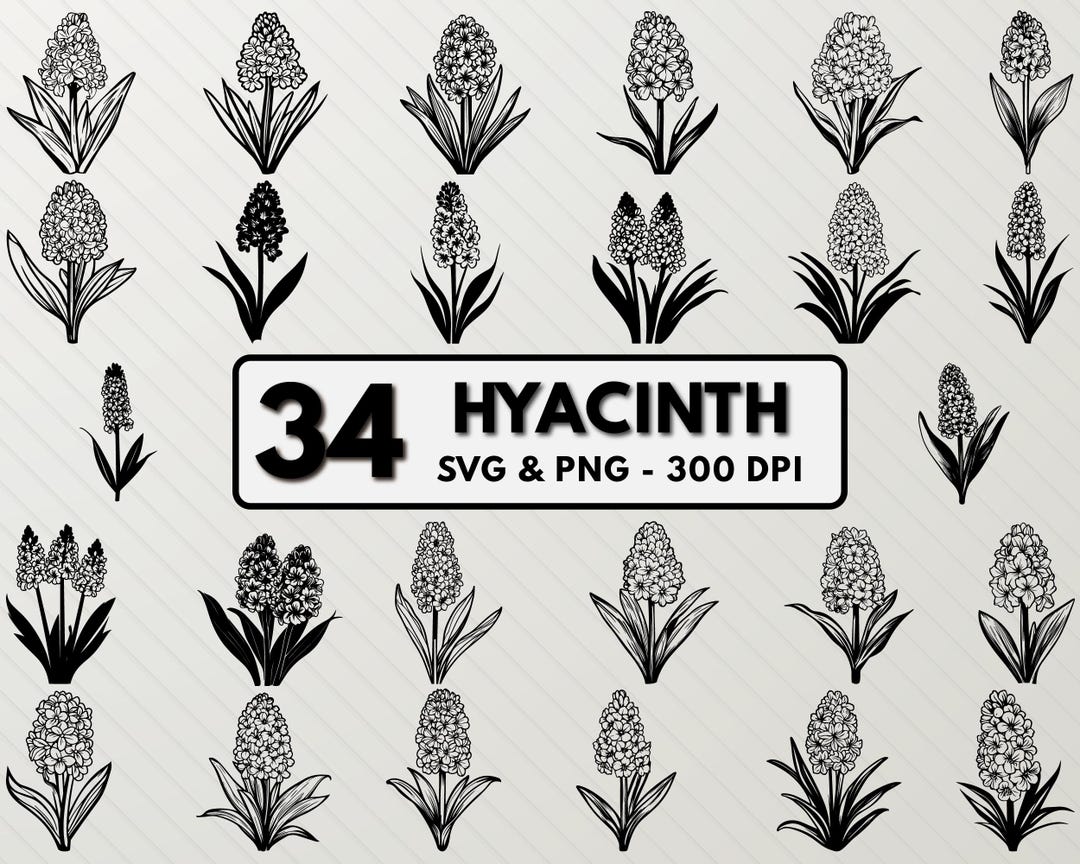 Hyacinth SVG Bundle: Spring Flower Clipart (PNG, Vector) - Etsy