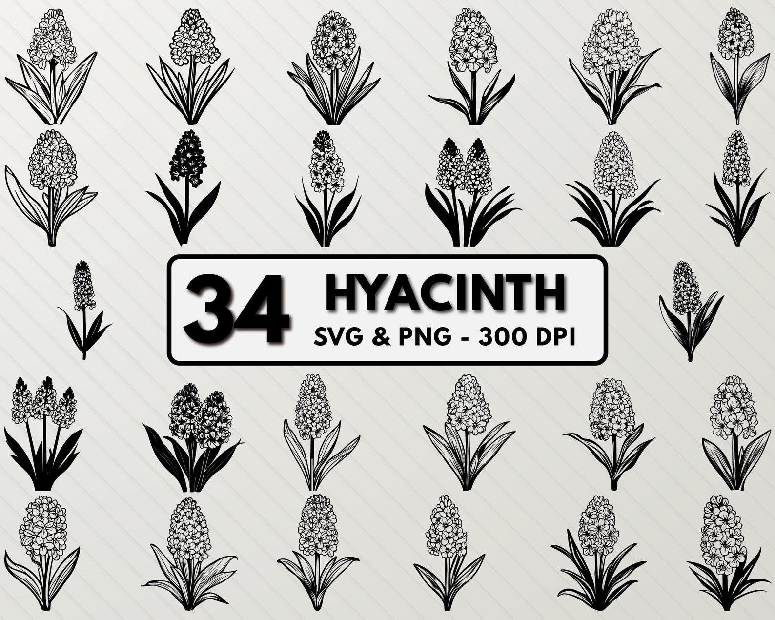 Hyacinth Svg Bundle, Hyacinth Silhouette, Dutch Hyacinth Svg Vector Png, Spring Flower Svg ...