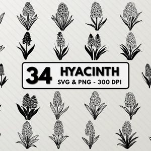 Hyacinth Svg Bundle, Hyacinth Silhouette, Dutch Hyacinth Svg Vector Png, Spring Flower Svg ...